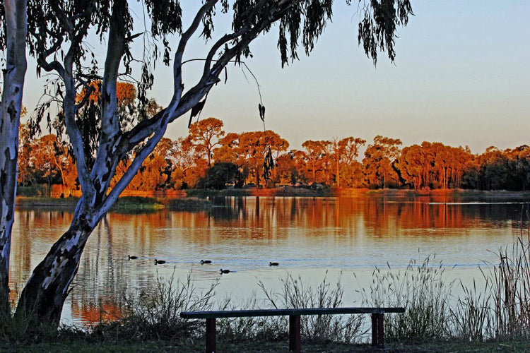 About Tara Qld | Small town in rural Queensland | Tara Newsagency ...